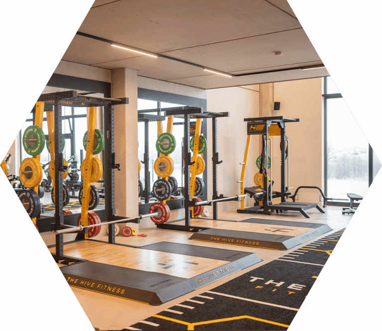 The Hive Fitness - Training im modernsten Studio Bayerns