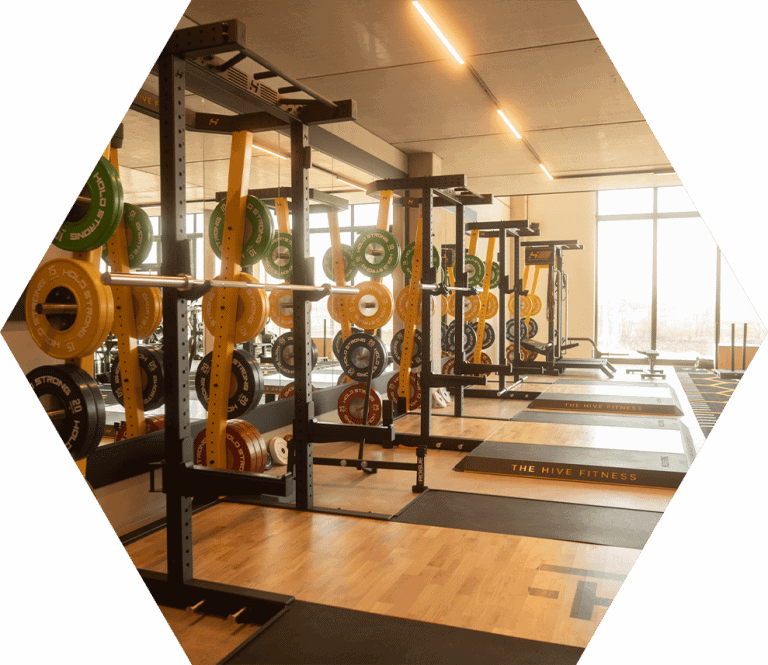 The Hive Fitness - Training im modernsten Studio Bayerns