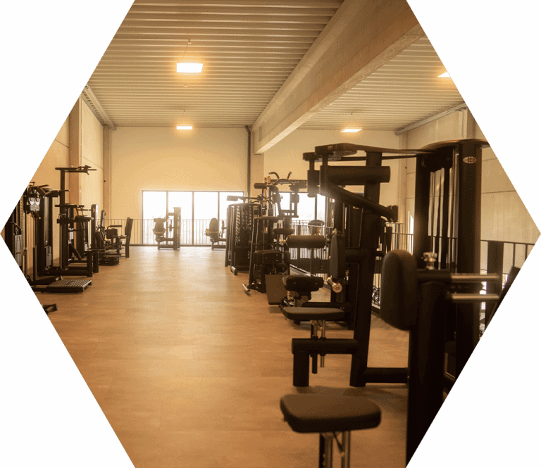 The Hive Fitness - Training im modernsten Studio Bayerns