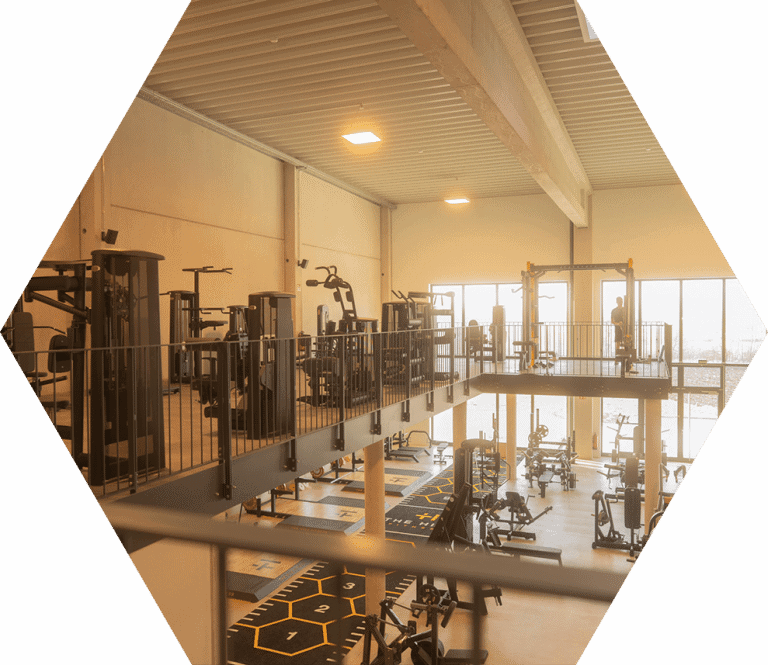 The Hive Fitness - Training im modernsten Studio Bayerns