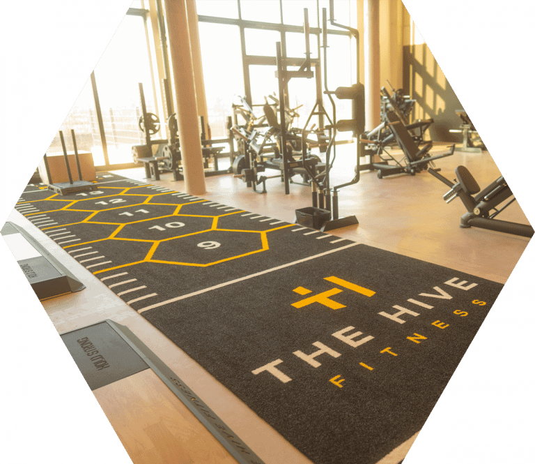 Trainingsbereiche bei The Hive Fitness